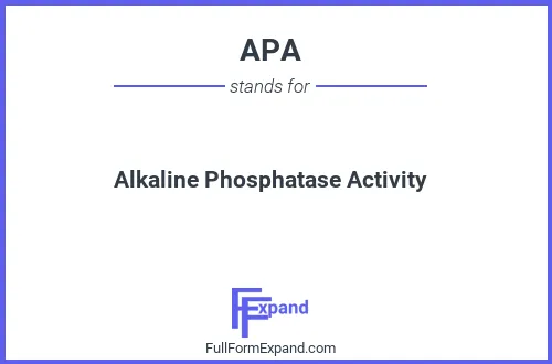 APA Abbreviations Full Forms Meanings and Definitions